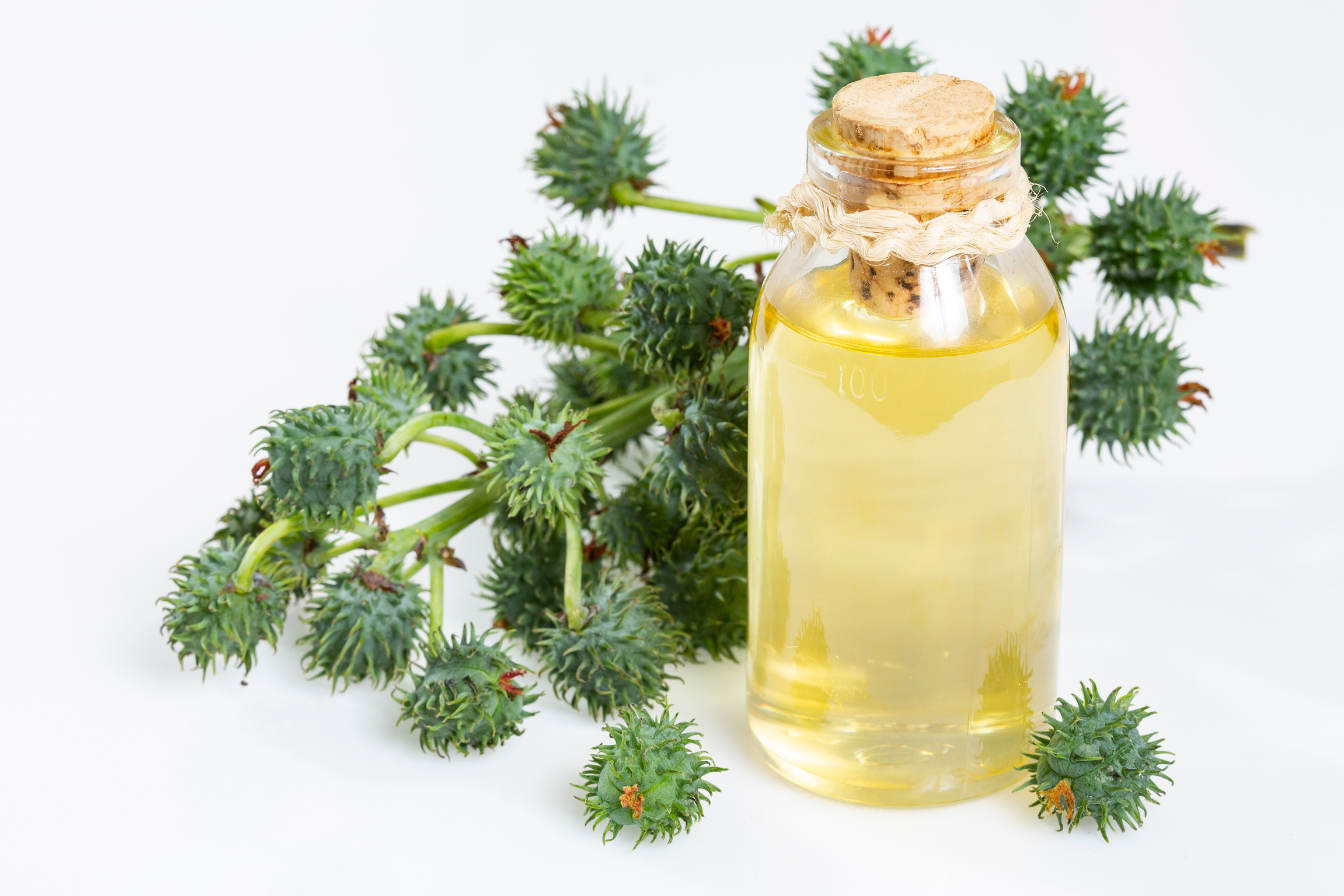 Unveiling the Wonders of Castor Oil: A Treasure Trove of Benefits ...
