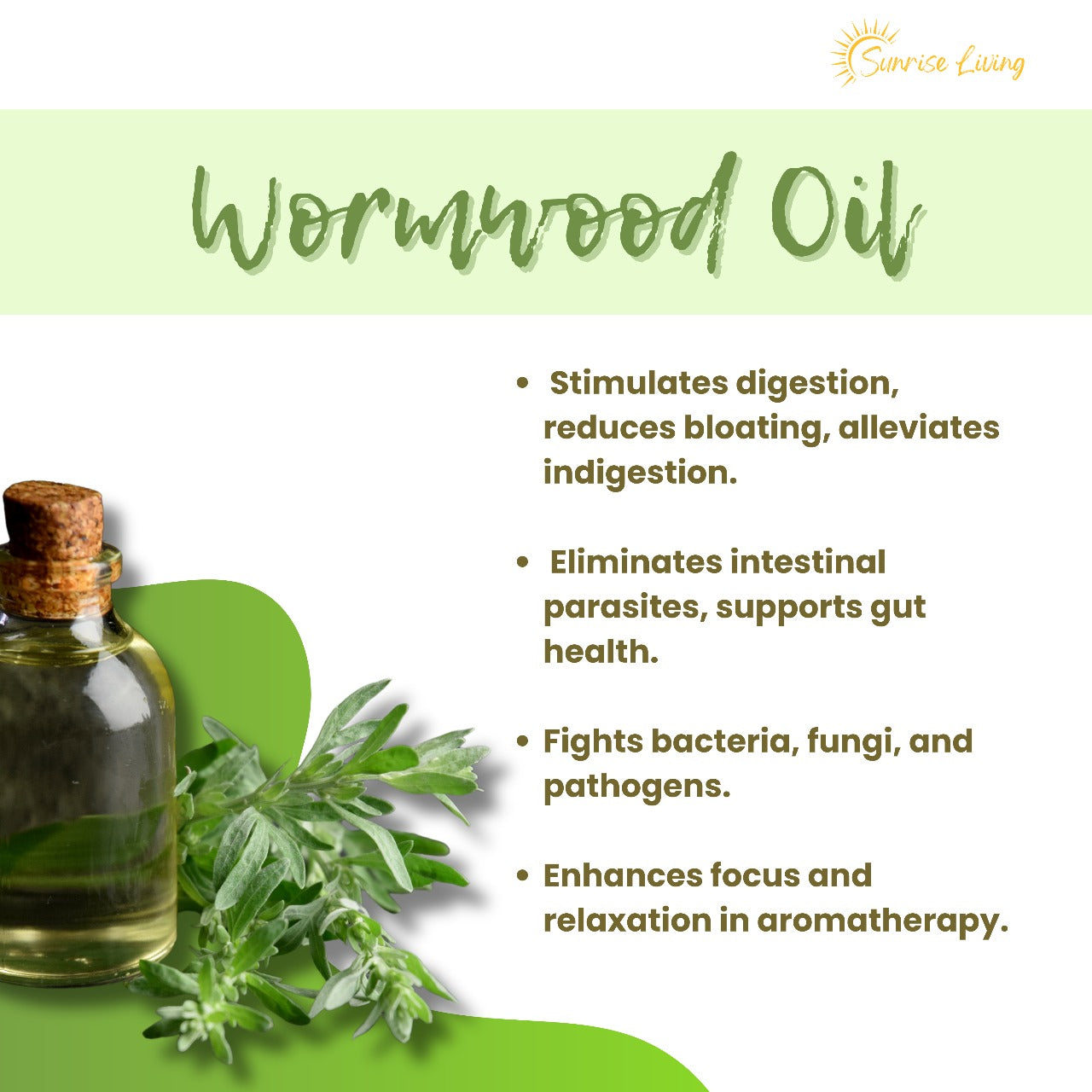 Buy Pure Wormwood Essential Oil for Parasite Cleanse & Wellness ...